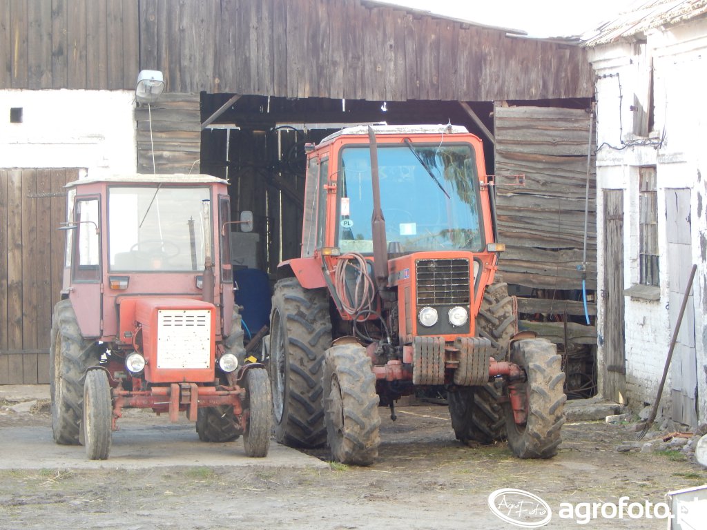 Foto ciagnik MTZ 82 i T25 id:569702 - Galeria rolnicza agrofoto