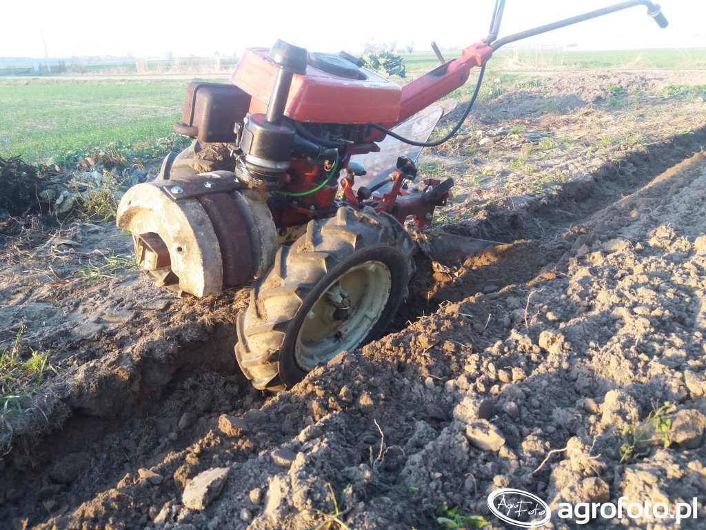 Obraz ciagnik Orka Terra Vari id:612504 - Galeria rolnicza agrofoto