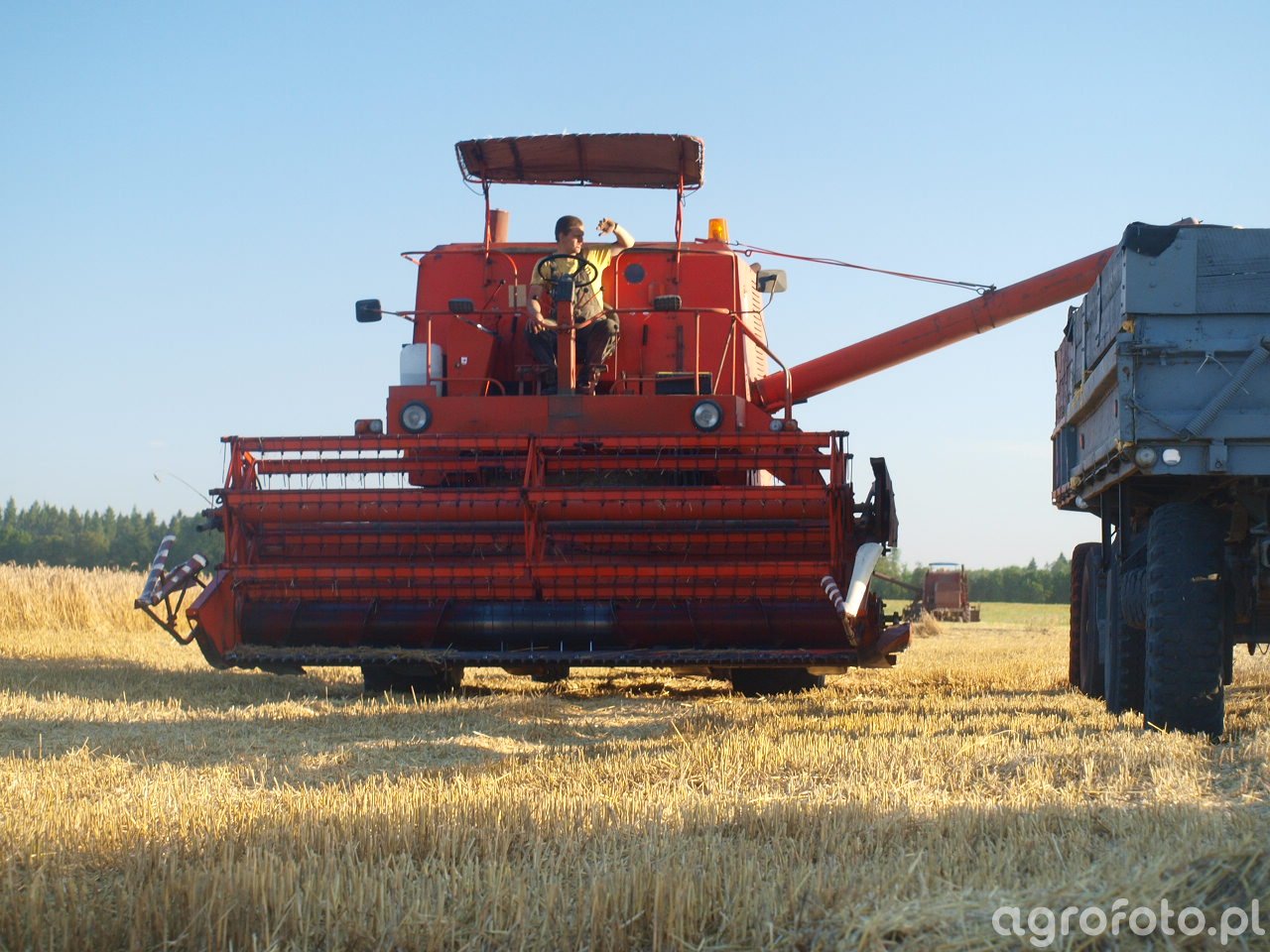 Kombajn Bizon Super Z056 - zdjęcie #717710 - Galeria rolnicza agrofoto