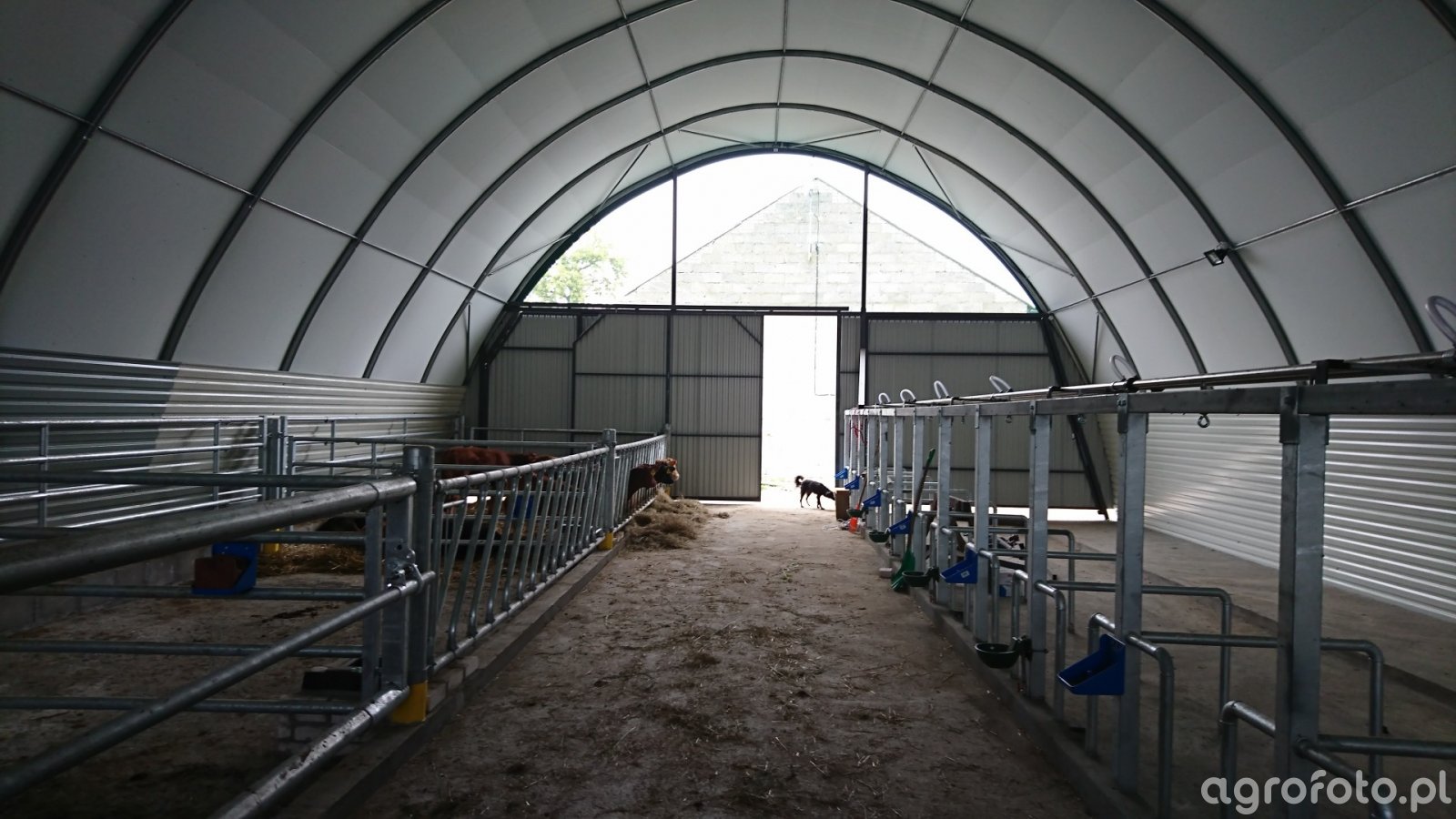 Obora - Obrazek, fotka, zdjecie, photo #745769 - Galeria rolnicza agrofoto