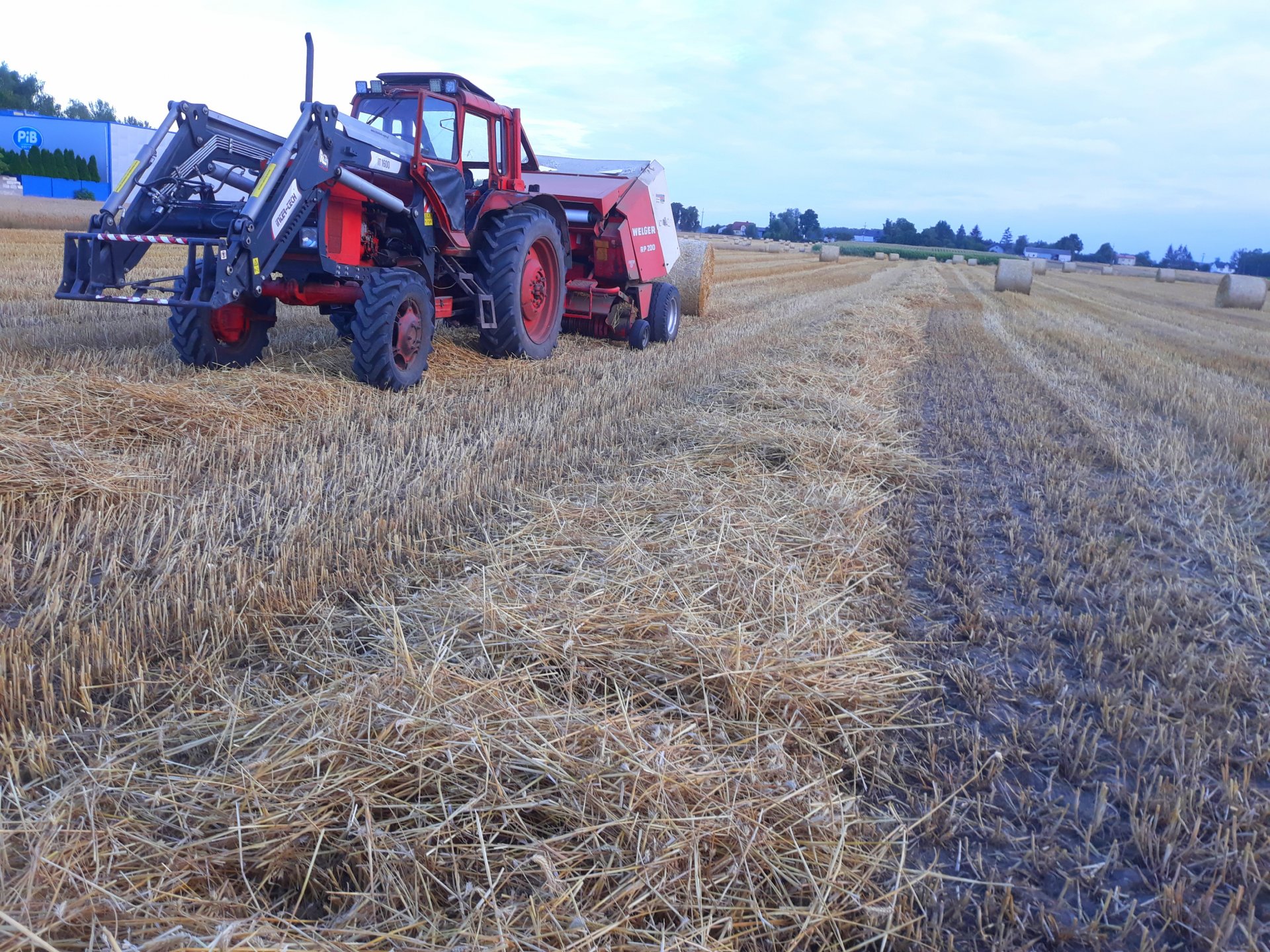 Bela słomy - zdjęcie, fotka, foto numer: 760534 - Galeria rolnicza agrofoto